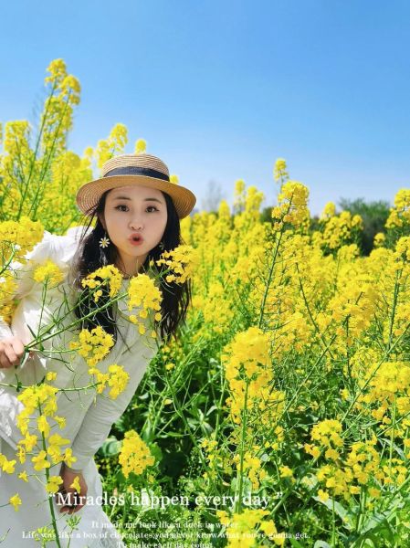 油菜花什么时候开_油菜花拍照技巧-第1张图片-山城妙识
