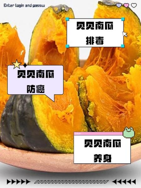 贝贝小南瓜的营养价值_贝贝小南瓜的功效与作用-第2张图片-山城妙识