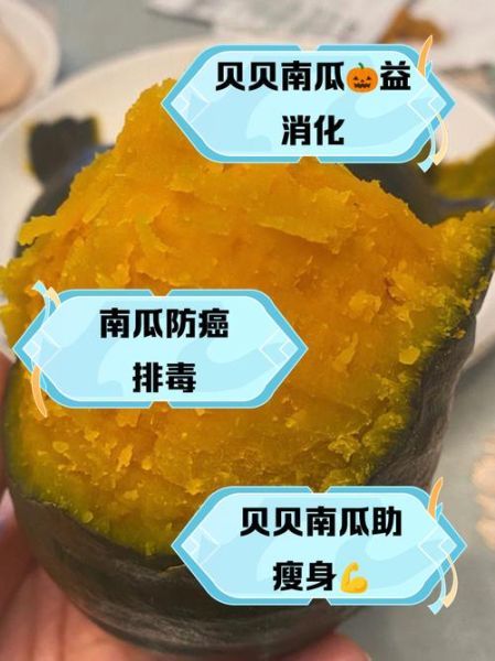 贝贝小南瓜的营养价值_贝贝小南瓜的功效与作用-第1张图片-山城妙识