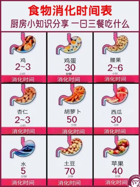 一日三餐四季吃什么_如何安排更健康-第2张图片-山城妙识