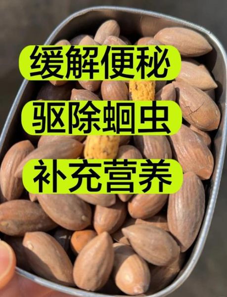 香榧子对血管有什么好处_怎么吃才能护血管-第2张图片-山城妙识