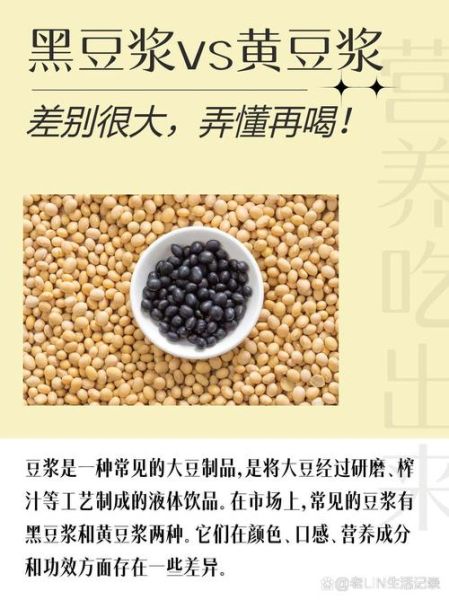 黑豆豆浆和黄豆豆浆哪个好_黑豆豆浆和黄豆豆浆的区别-第1张图片-山城妙识