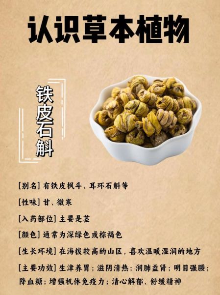 石斛是什么东西_石斛的功效与作用-第2张图片-山城妙识