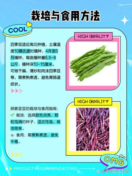 芸豆和四季豆的区别_哪个更适合减肥-第1张图片-山城妙识