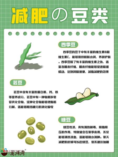 芸豆和四季豆的区别_哪个更适合减肥-第3张图片-山城妙识