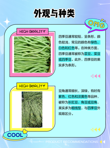 芸豆和四季豆的区别_哪个更适合减肥-第2张图片-山城妙识