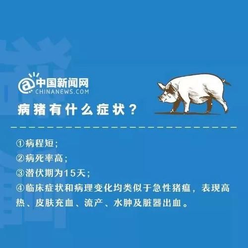 2020年猪瘟疫情最新消息_非洲猪瘟还能吃猪肉吗-第3张图片-山城妙识