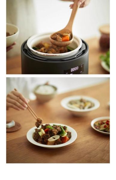 电压力锅适合做什么菜_电压力锅菜谱推荐-第1张图片-山城妙识