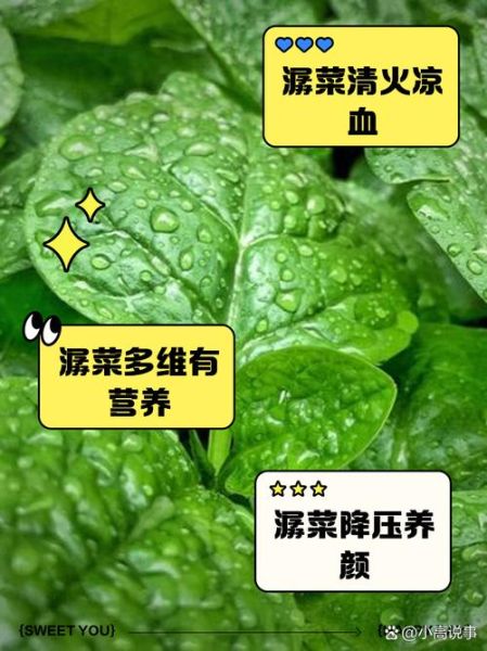 潺菜有什么功效_潺菜怎么吃最营养-第1张图片-山城妙识