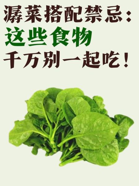 潺菜有什么功效_潺菜怎么吃最营养-第2张图片-山城妙识