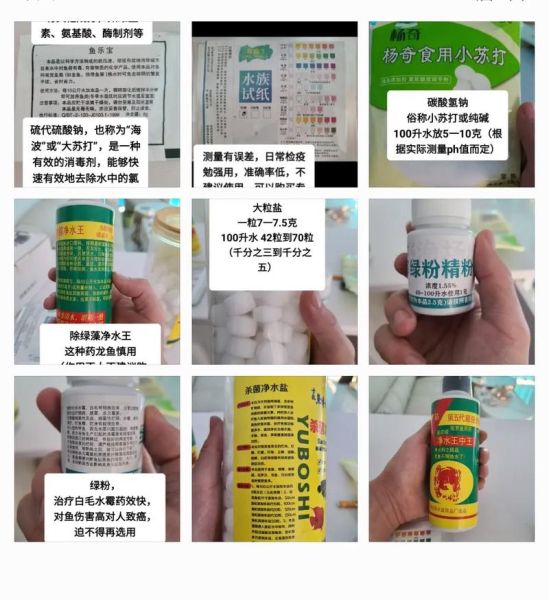诱鱼最快的西药秘方_真的有用吗-第1张图片-山城妙识