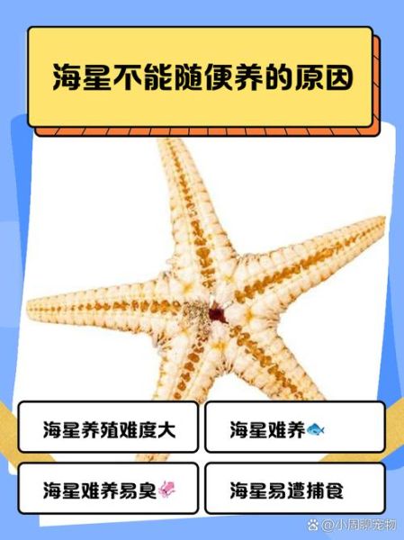 海星有毒吗_被海星扎了怎么办-第2张图片-山城妙识