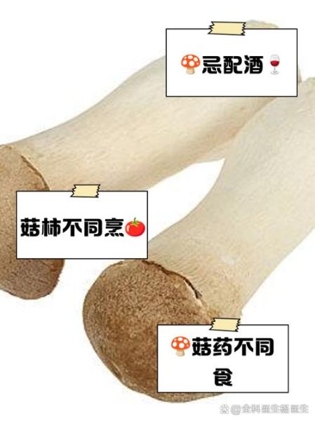鸡腿菇不能和什么一起吃_鸡腿菇与什么相克-第1张图片-山城妙识