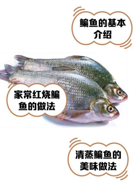 鳊鱼读音怎么读_鳊鱼拼音声调是什么-第1张图片-山城妙识