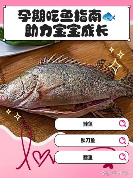 孕妇吃什么鱼对胎儿好_孕妇最适合吃的六种鱼-第3张图片-山城妙识
