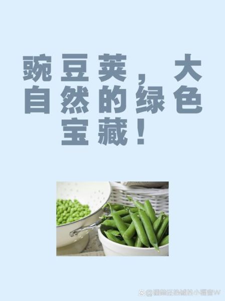 豌豆荚官网手机下载_豌豆荚安全吗-第3张图片-山城妙识