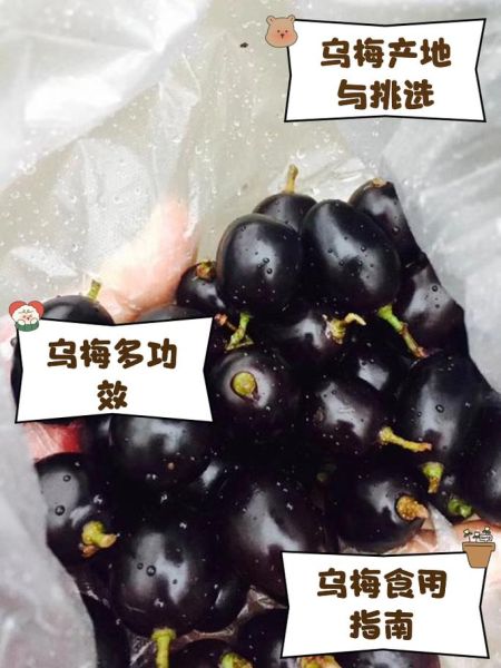 乌梅图片大全_乌梅长什么样-第1张图片-山城妙识