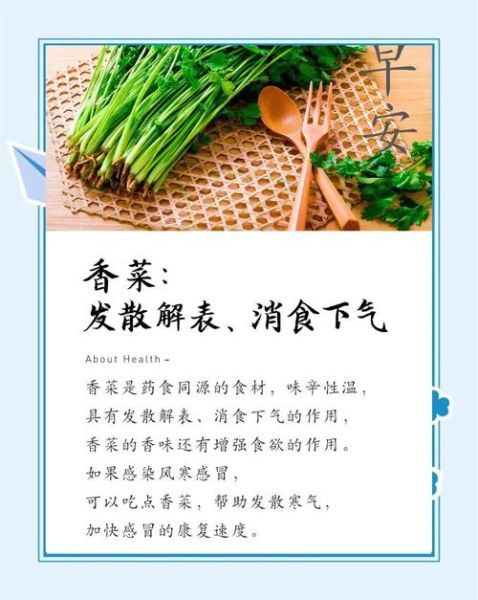 香菜的功效与作用及禁忌_香菜的正确吃法与用量-第3张图片-山城妙识
