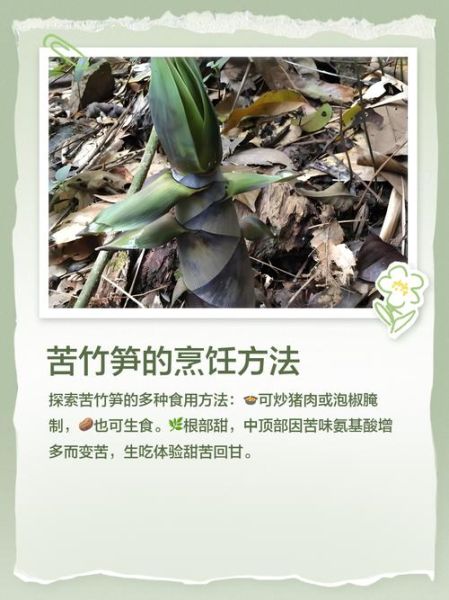 苦竹笋的功效与作用_苦竹笋怎么吃不上火-第3张图片-山城妙识