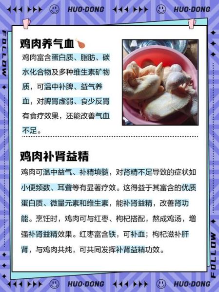 鸡肉的营养价值_鸡肉的功效与作用-第1张图片-山城妙识
