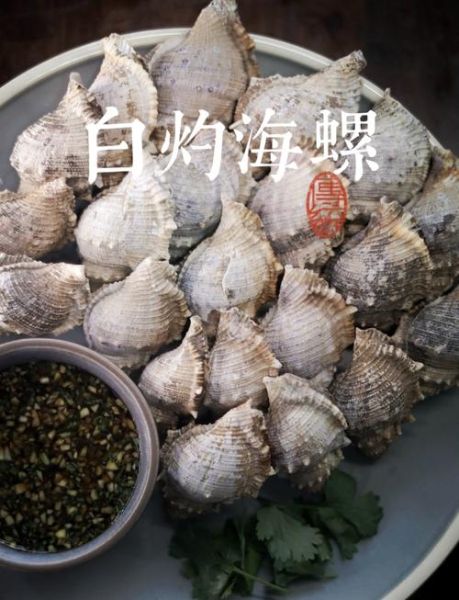 海螺怎么吃_海螺清洗方法-第3张图片-山城妙识