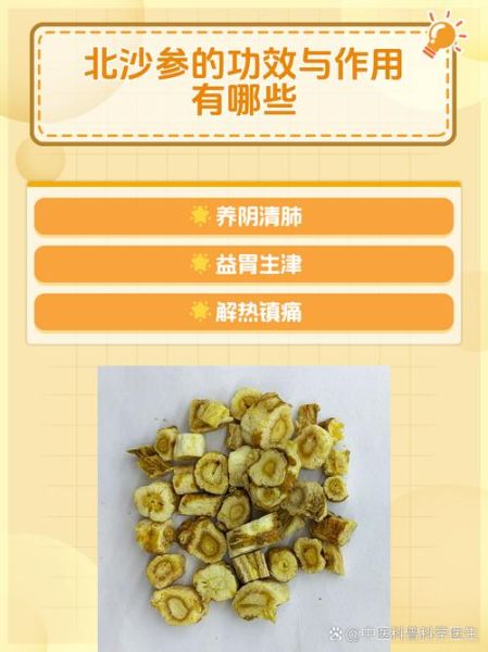 北沙参的副作用有哪些_哪些人不能吃北沙参-第2张图片-山城妙识