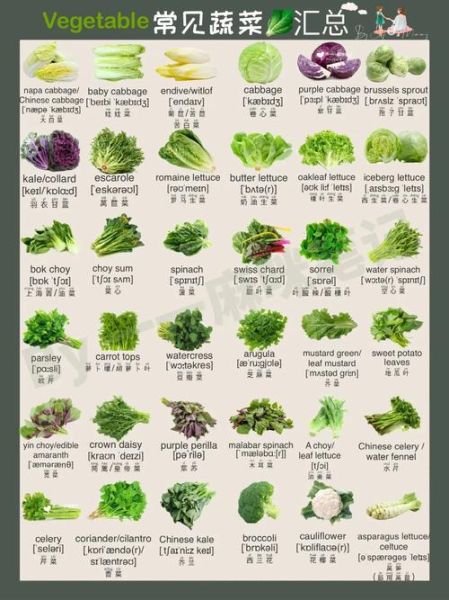 蔬菜大全图片和名字_蔬菜名称大全有哪些-第2张图片-山城妙识