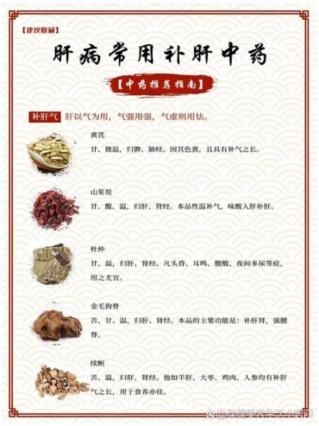 养肝护肝的中药有哪些_如何正确服用不伤胃-第2张图片-山城妙识