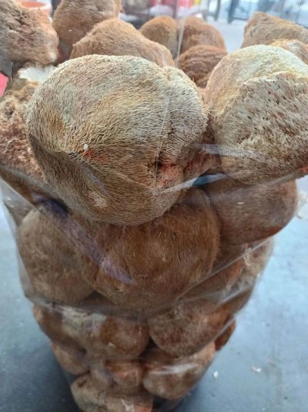 野生猴头菇多少钱一斤_怎么辨别真假野生猴头菇-第3张图片-山城妙识