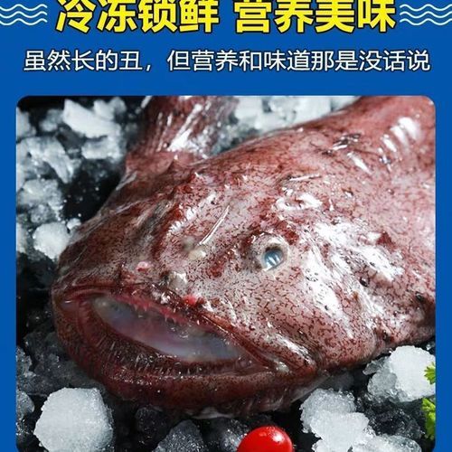 鮟鱇鱼是什么_鮟鱇鱼为什么叫灯笼鱼-第1张图片-山城妙识