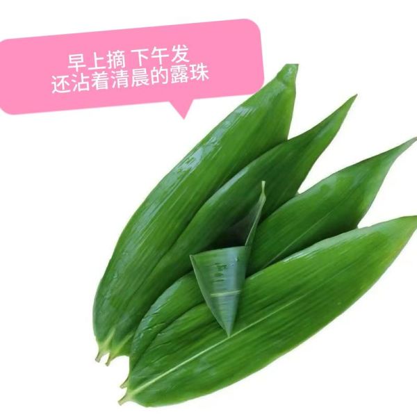 新鲜粽叶怎么处理才能包粽子_粽叶清洗方法-第2张图片-山城妙识