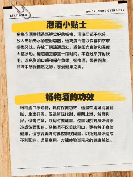 杨梅泡酒有什么功效_杨梅酒怎么喝最养生-第3张图片-山城妙识