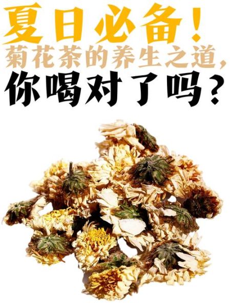 白菊花茶的功效与作用_白菊花茶怎么泡才正确-第1张图片-山城妙识 白菊花茶的功效与作用_白菊花茶怎么泡才正确-第1张图片-山城妙识