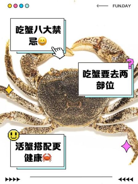 螃蟹不能和什么一起吃_吃螃蟹的禁忌有哪些-第3张图片-山城妙识 螃蟹不能和什么一起吃_吃螃蟹的禁忌有哪些-第3张图片-山城妙识