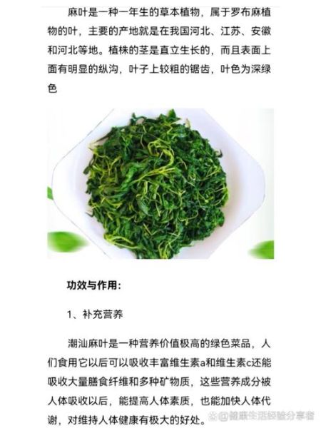 麻油叶是什么_麻油叶的来历-第3张图片-山城妙识 麻油叶是什么_麻油叶的来历-第3张图片-山城妙识