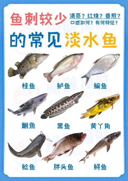 淡水大鱼有哪些_淡水大鱼怎么养-第2张图片-山城妙识 淡水大鱼有哪些_淡水大鱼怎么养-第2张图片-山城妙识