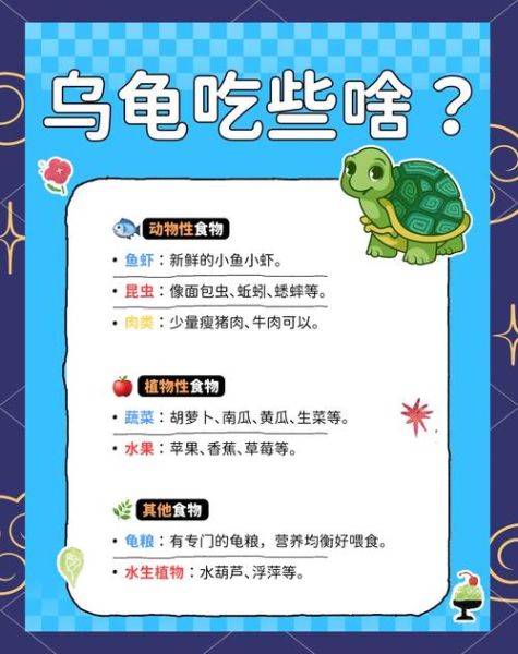 家养乌龟吃什么食物_家养乌龟可以吃什么蔬菜-第3张图片-山城妙识