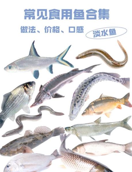 淡水鱼怎么做好吃_家常淡水鱼做法大全-第3张图片-山城妙识