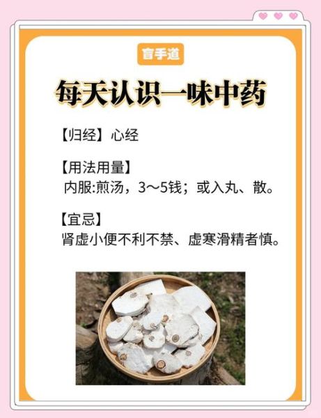 茯神的功效与作用_茯神怎么吃效果最好-第2张图片-山城妙识