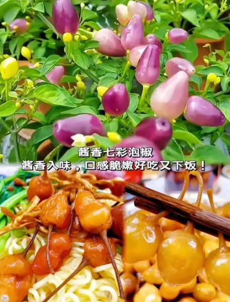 泡椒怎么腌制_泡椒腌制多久可以吃-第2张图片-山城妙识