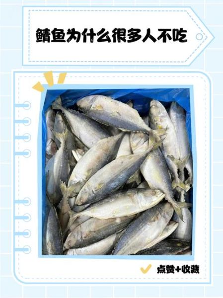 鲭鱼为什么便宜_鲭鱼多少钱一斤-第3张图片-山城妙识