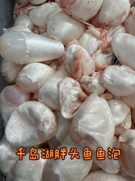 鱼肚怎么泡发_鱼肚和鱼泡有什么区别-第3张图片-山城妙识