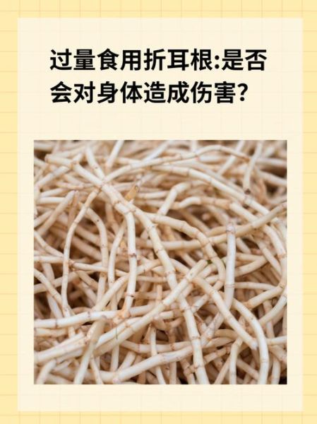 鱼腥草不能和什么一起吃_鱼腥草禁忌食物有哪些-第1张图片-山城妙识
