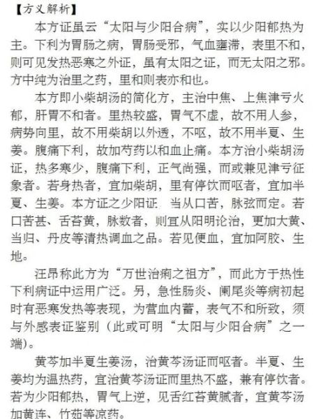 黄芩汤的功效与作用_黄芩汤适合什么人喝-第1张图片-山城妙识