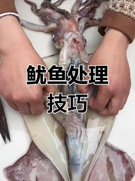 鱿鱼仔怎么清洗图解_鱿鱼仔清洗内脏步骤-第2张图片-山城妙识