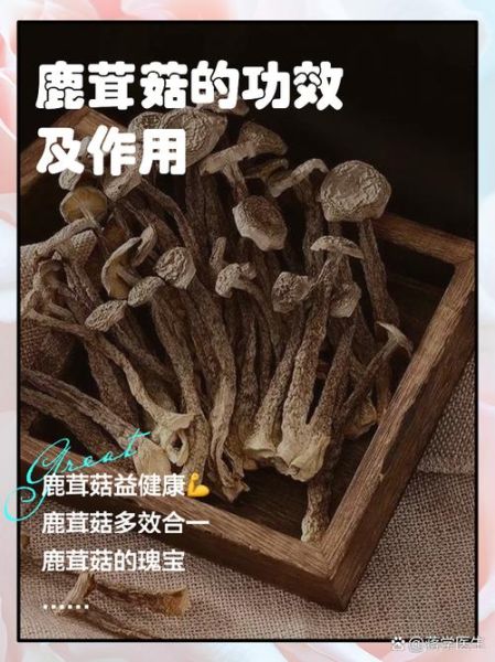 鹿茸对女人有什么好处_女人吃鹿茸多久见效-第1张图片-山城妙识