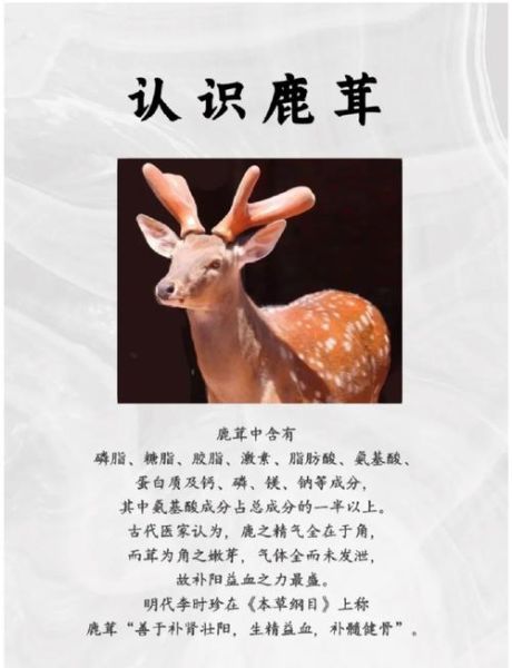 鹿茸对女人有什么好处_女人吃鹿茸多久见效-第2张图片-山城妙识