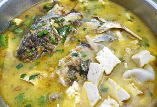 鱼头豆腐汤怎么炖不腥_鱼头豆腐汤用什么豆腐最好-第3张图片-山城妙识