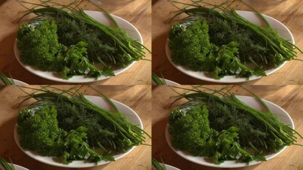 香草视频怎么下载_香草视频安全吗-第2张图片-山城妙识