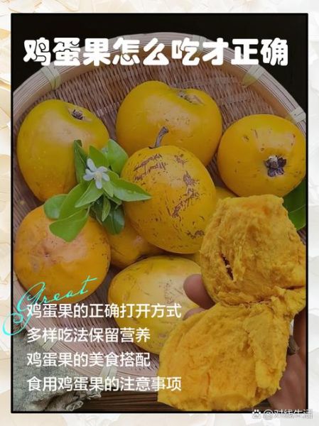 蛋黄果怎么吃_蛋黄果的功效与作用-第2张图片-山城妙识